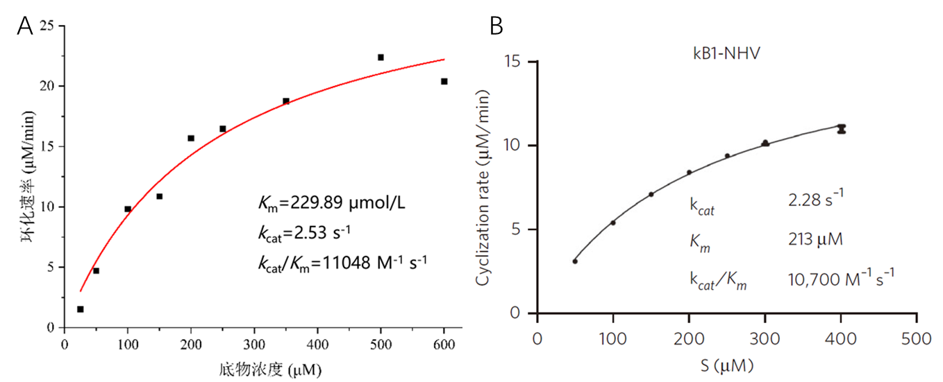 新品 | 重组多肽连接酶Butelase 1 上市！！！ - 广州英赞生物EnzyValley